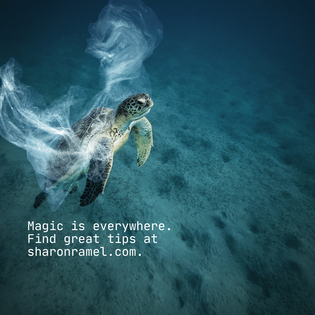 The Soul Speaks - Sharon Ramel Spiritual Instructor